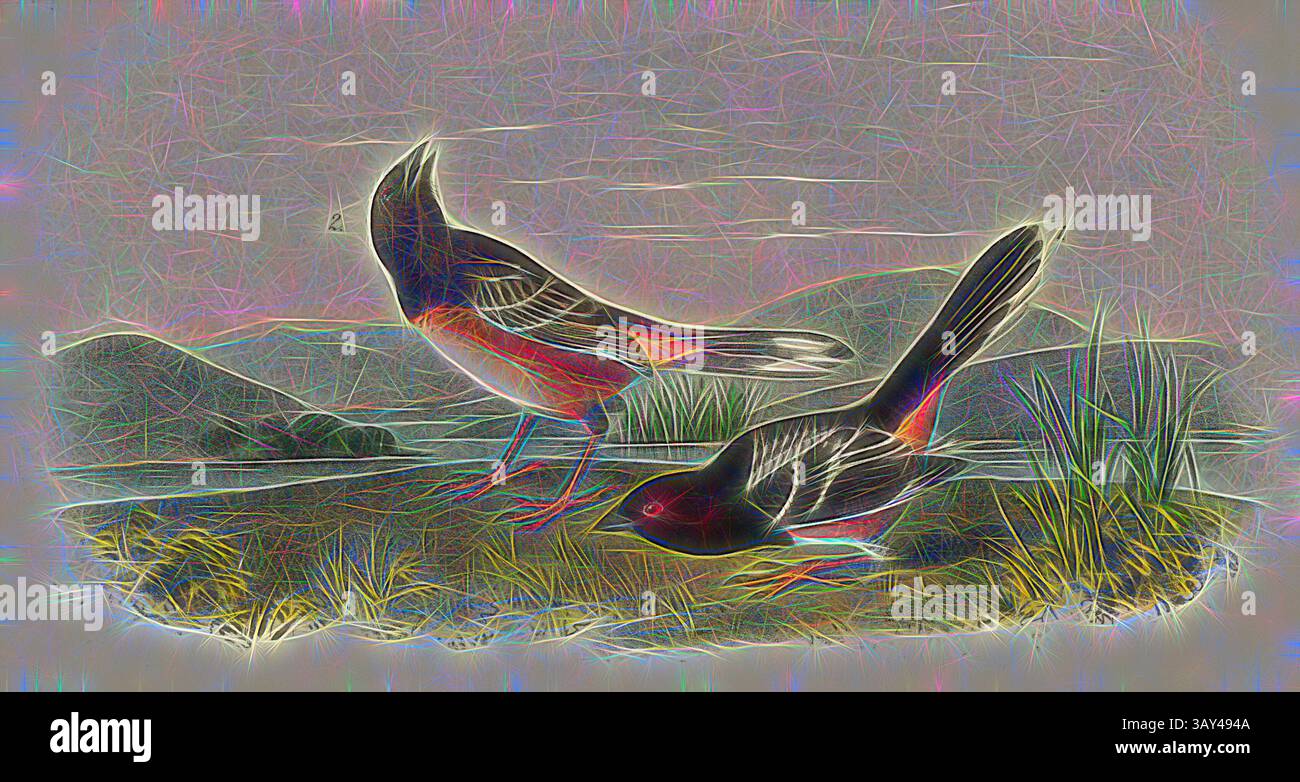 Pair of birds in dynamic poses hi-res stock photography and images - Alamy