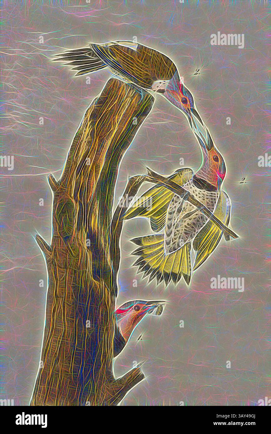 Vibrant scene depicts three colorful woodpeckers hi-res stock ...