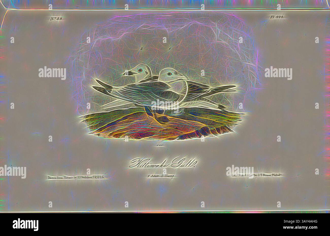 A pair of birds are depicted resting on a nest, surrounded by abstract ...