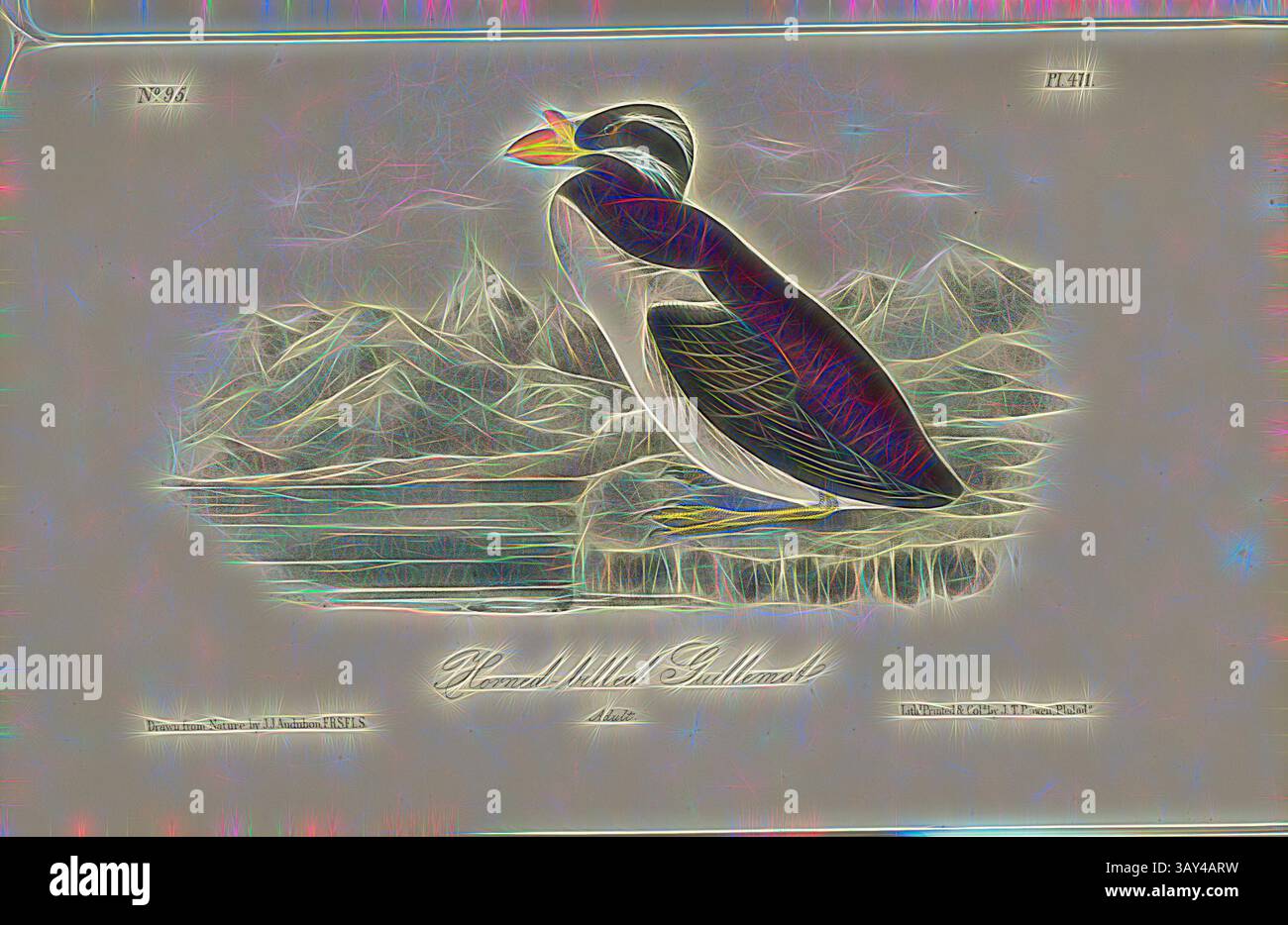 A whimsical illustration of a puffin perched on a rocky ledge ...