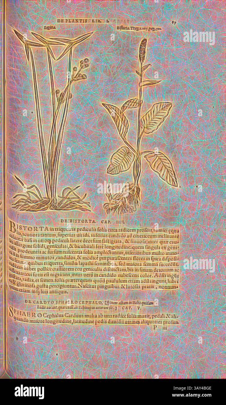 A detailed illustration of two plants, accompanied by descriptive text ...