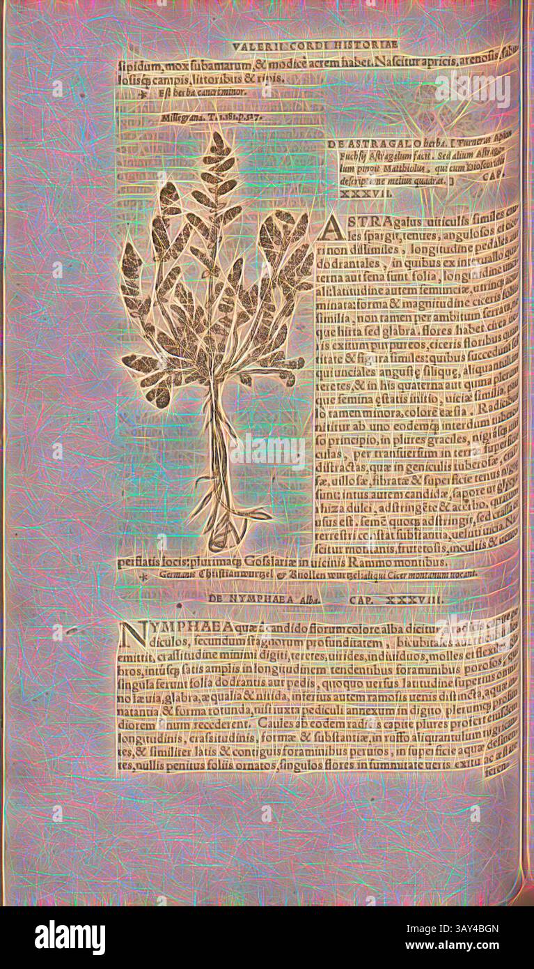 Layout combines scientific documentation hi-res stock photography and ...