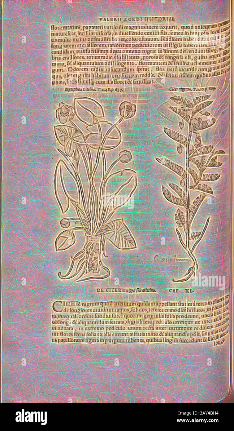 An illustration depicting two botanical plants, with detailed labels ...
