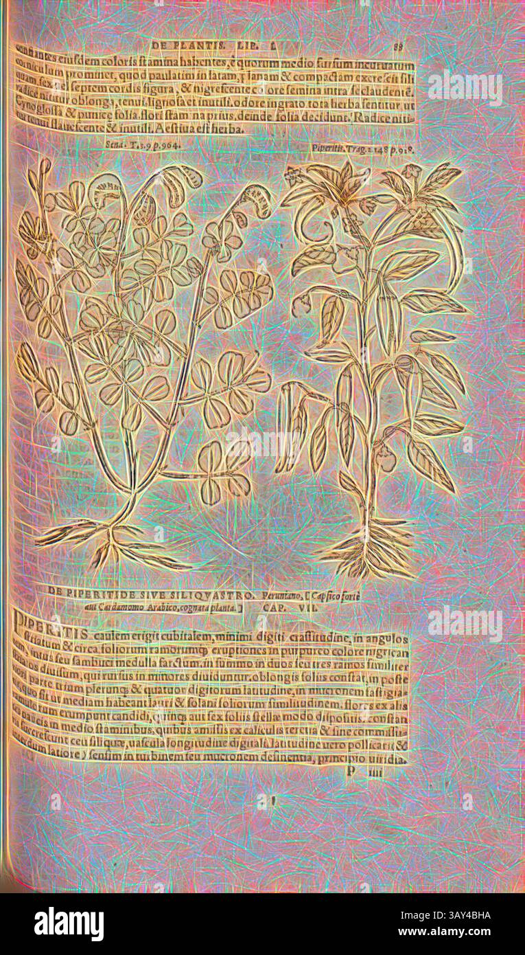 An illustration features two distinct plant species, each with ...