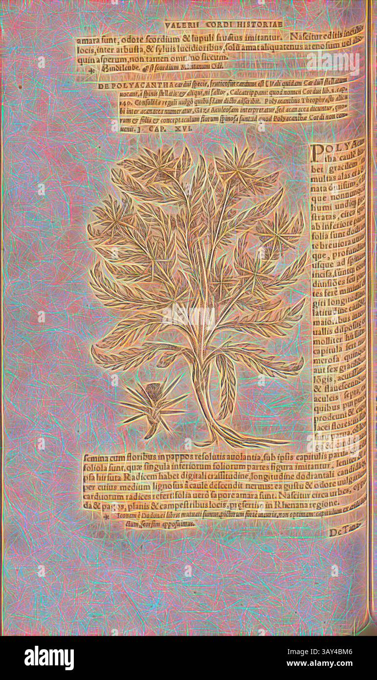 An intricate botanical illustration featuring a plant with detailed ...