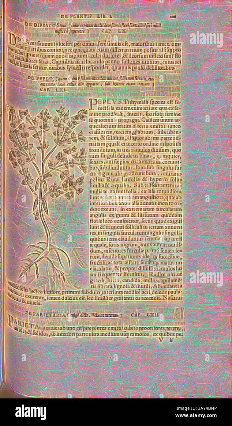 An ancient text featuring intricate illustrations of a plant alongside ...