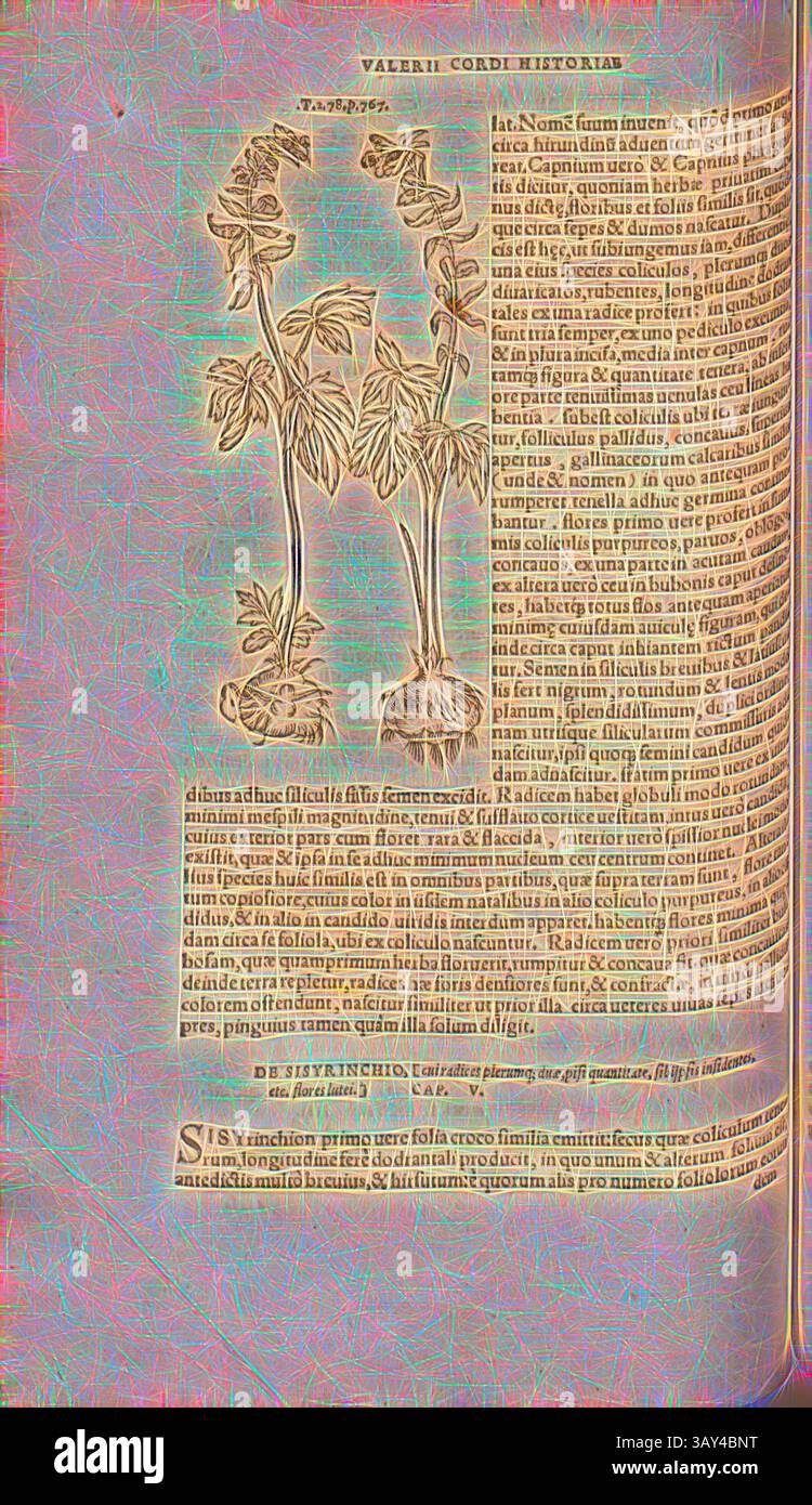 An ornate page featuring intricate floral decorations and detailed text ...