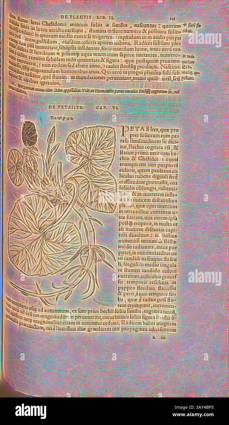 Detailed illustrations of water lilies hi-res stock photography and ...
