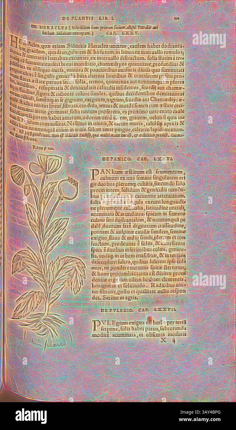 An old page featuring botanical illustrations alongside Latin text ...