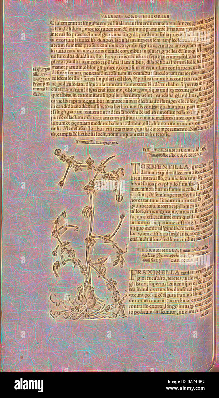 Layout combines intricate artwork hi-res stock photography and images ...