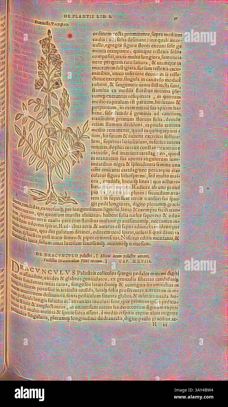 Layout combines botanical descriptions hi-res stock photography and ...