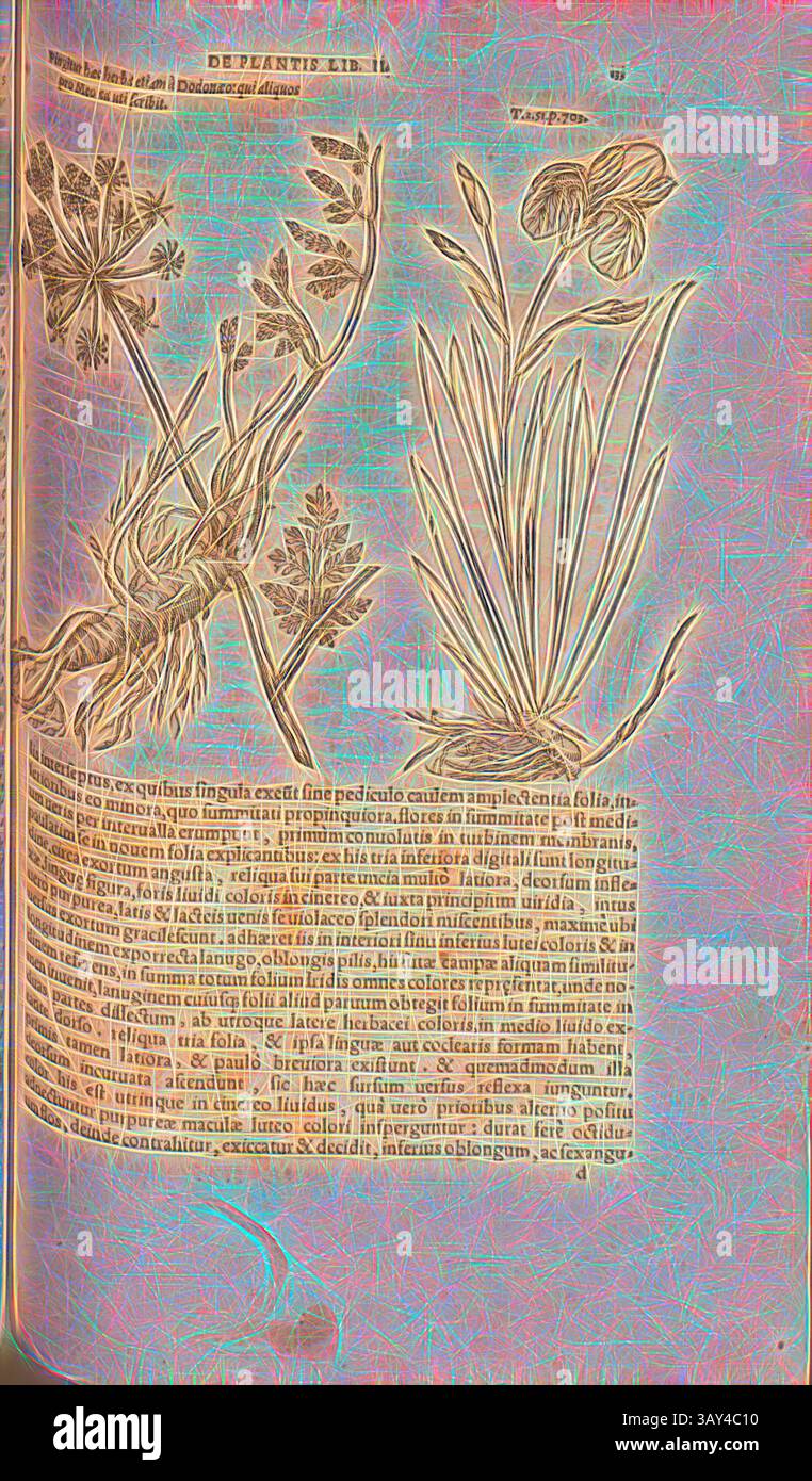 An illustration showcases various botanical specimens, with detailed ...