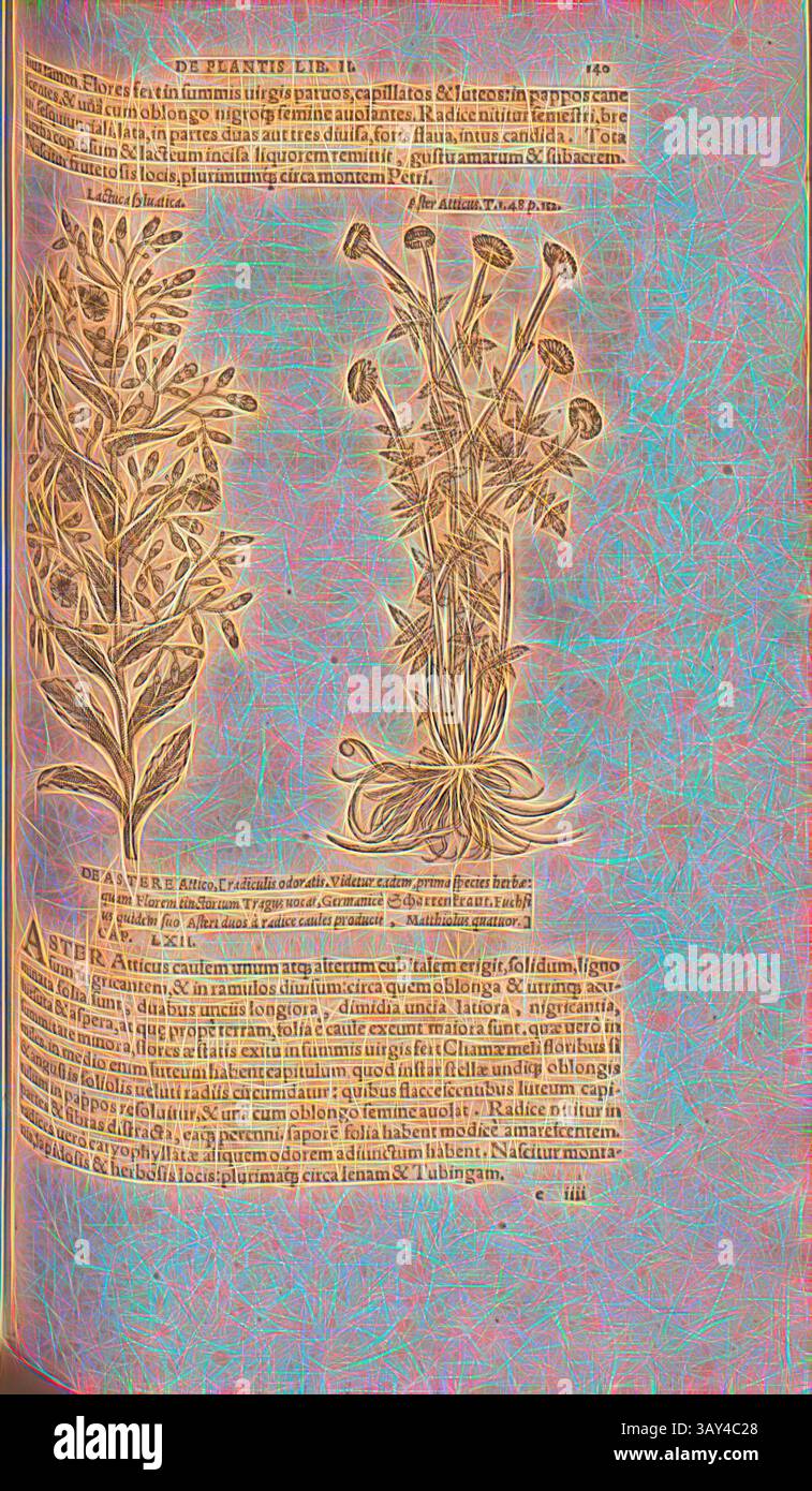 An intricately detailed illustration of various plant species ...