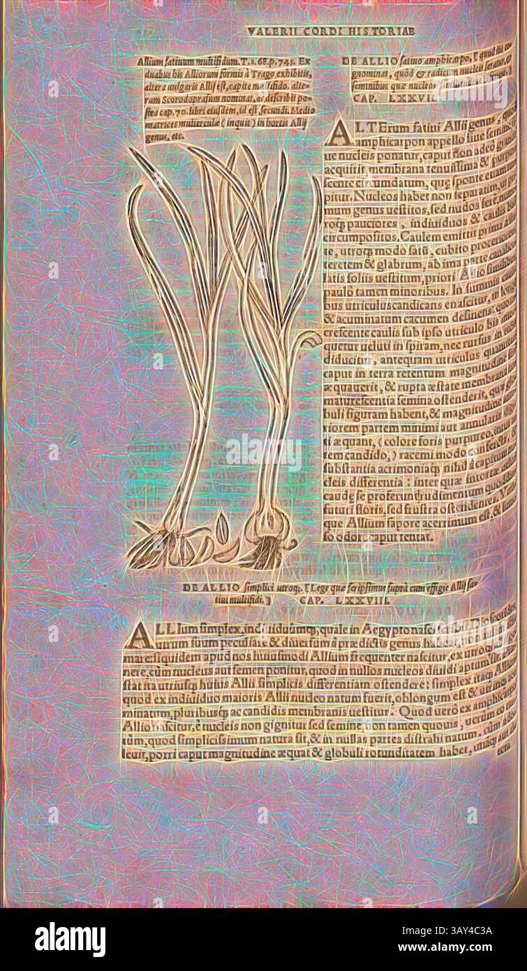 An ancient text featuring ornate illustrations and detailed ...