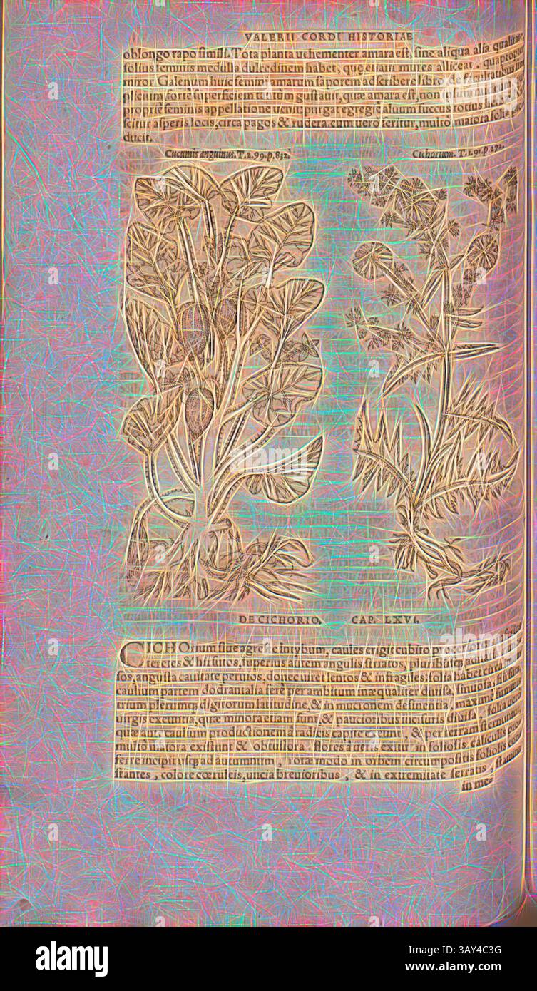 An illustration featuring two distinct plants accompanied by text. The ...