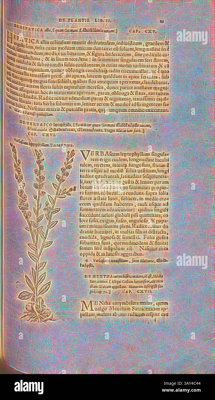 An open page from an ancient book featuring intricate text and ...