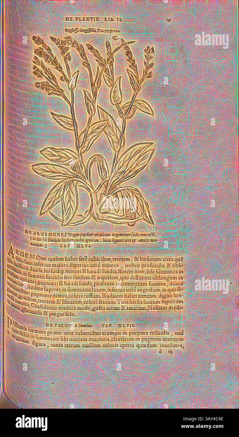 An ornate botanical illustration featuring delicate plant stems and ...