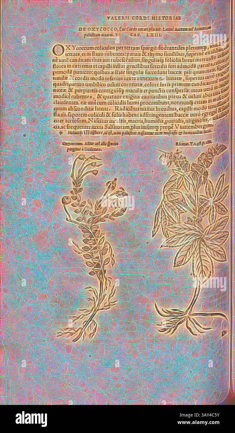 An ornate page features an illustration of two botanical specimens ...