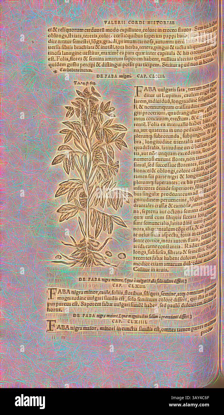 Layout features detailed descriptions hi-res stock photography and ...