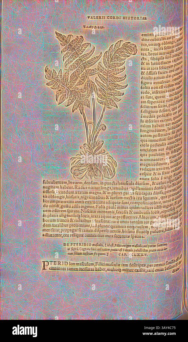 An intricate illustration of a leafy plant is accompanied by text that ...