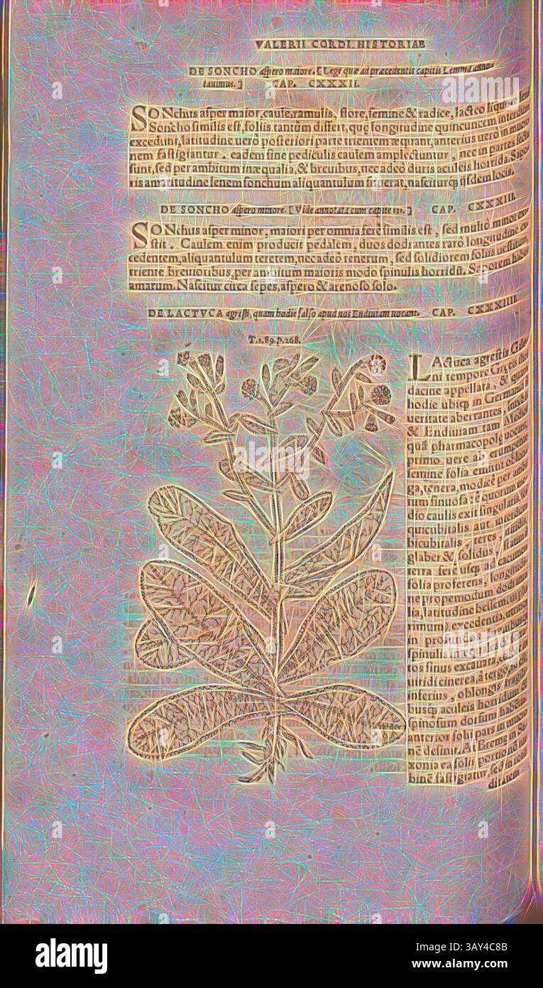 Cordus valerius hi-res stock photography and images - Alamy