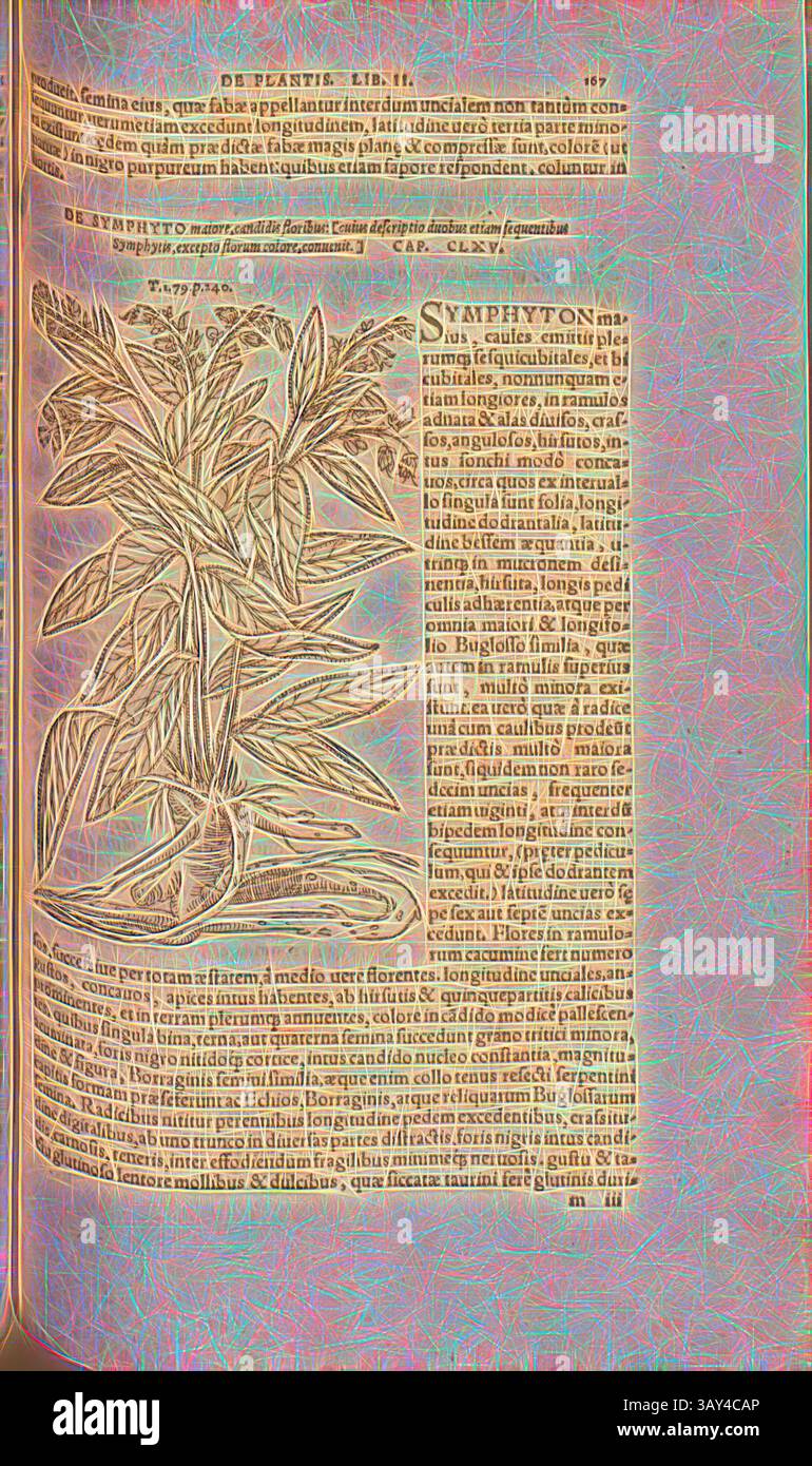 An illustration of a plant, accompanied by detailed text discussing its ...
