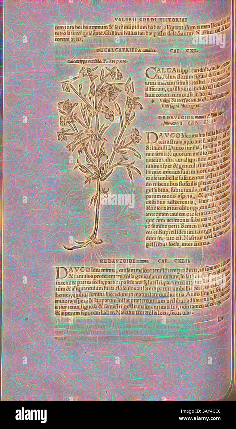 An illustrated botanical drawing features a flower with detailed ...