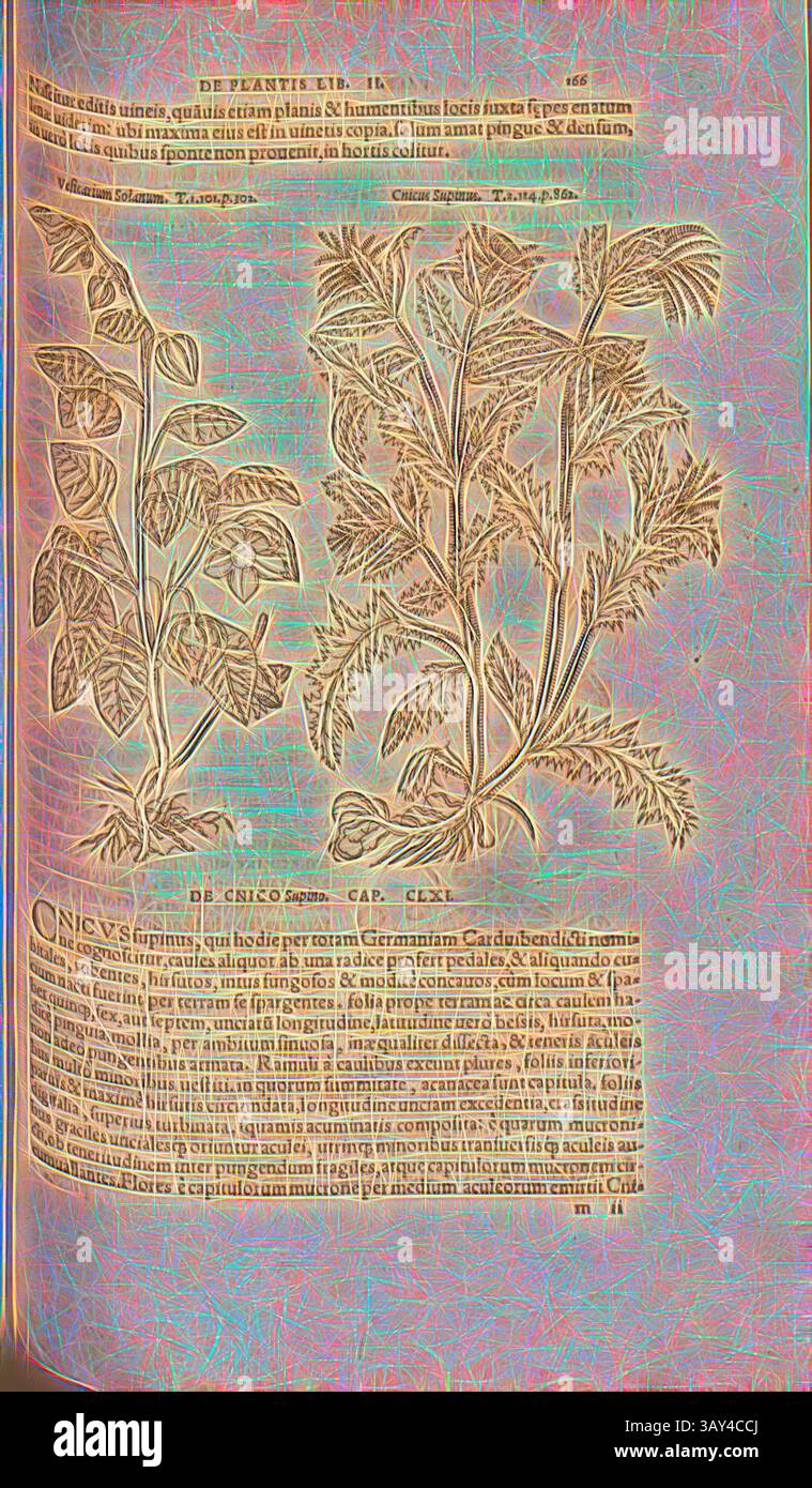 An intricate botanical illustration featuring two plants with detailed ...