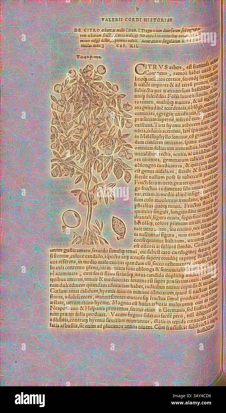 Layout combines elegant typography hi-res stock photography and images ...