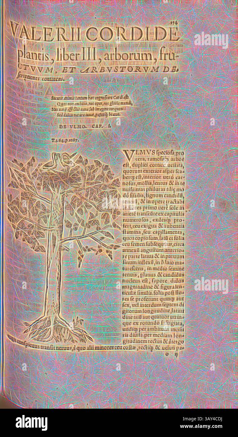 An illustrated page featuring detailed text and an ornate tree design ...