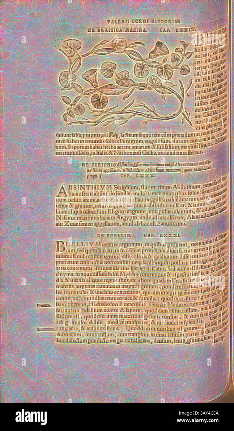 An ancient text featuring detailed illustrations of various plants and ...