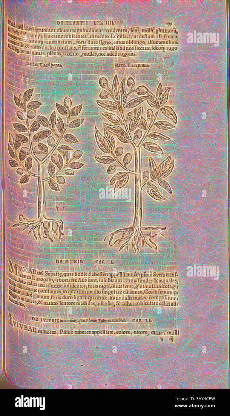 An illustration of two botanical plants, accompanied by detailed ...