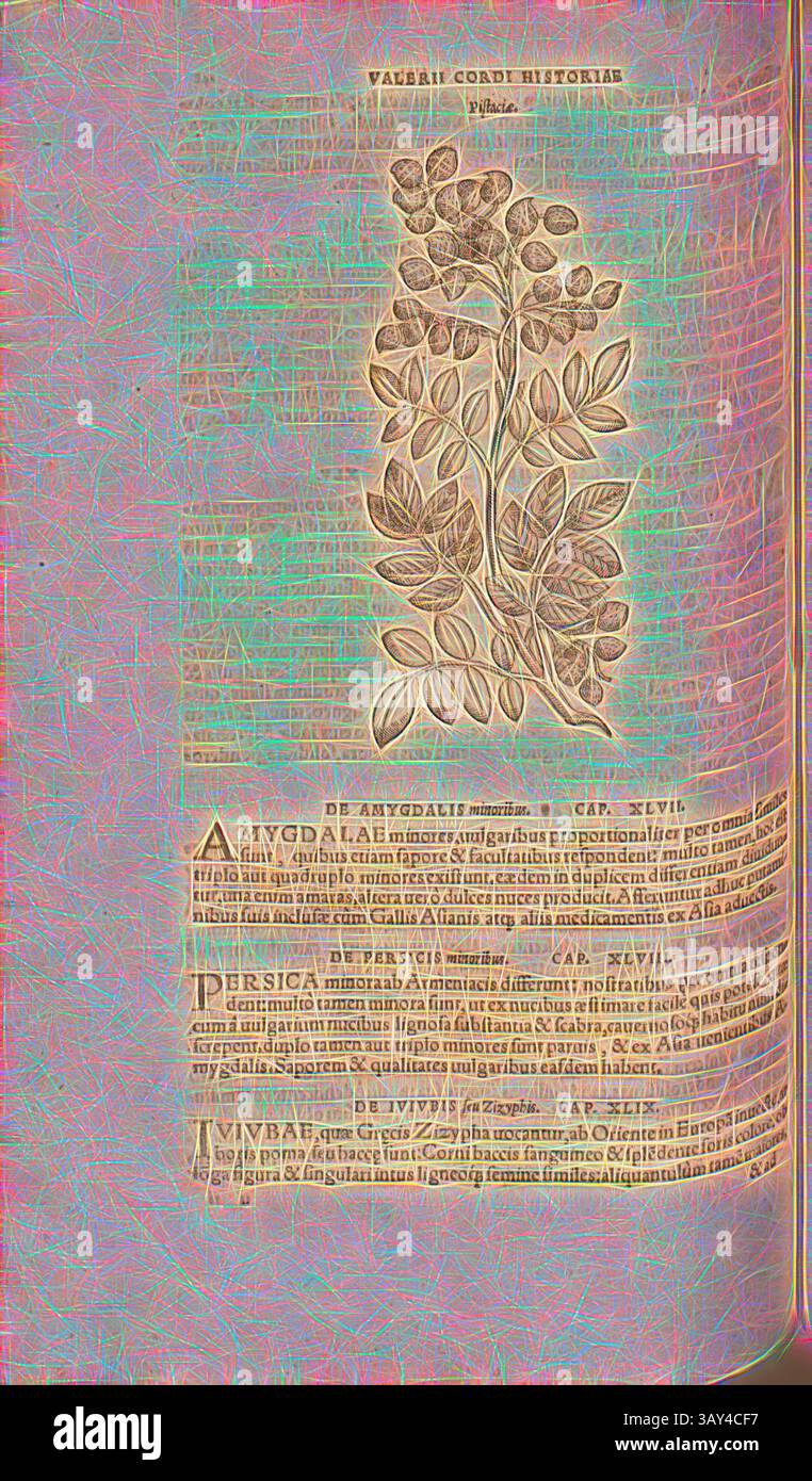 An intricate botanical illustration is surrounded by dense text ...