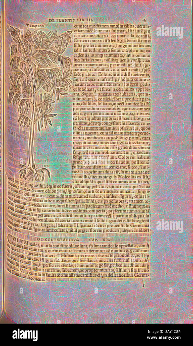 An intricately illustrated tree accompanies a detailed text, discussing ...