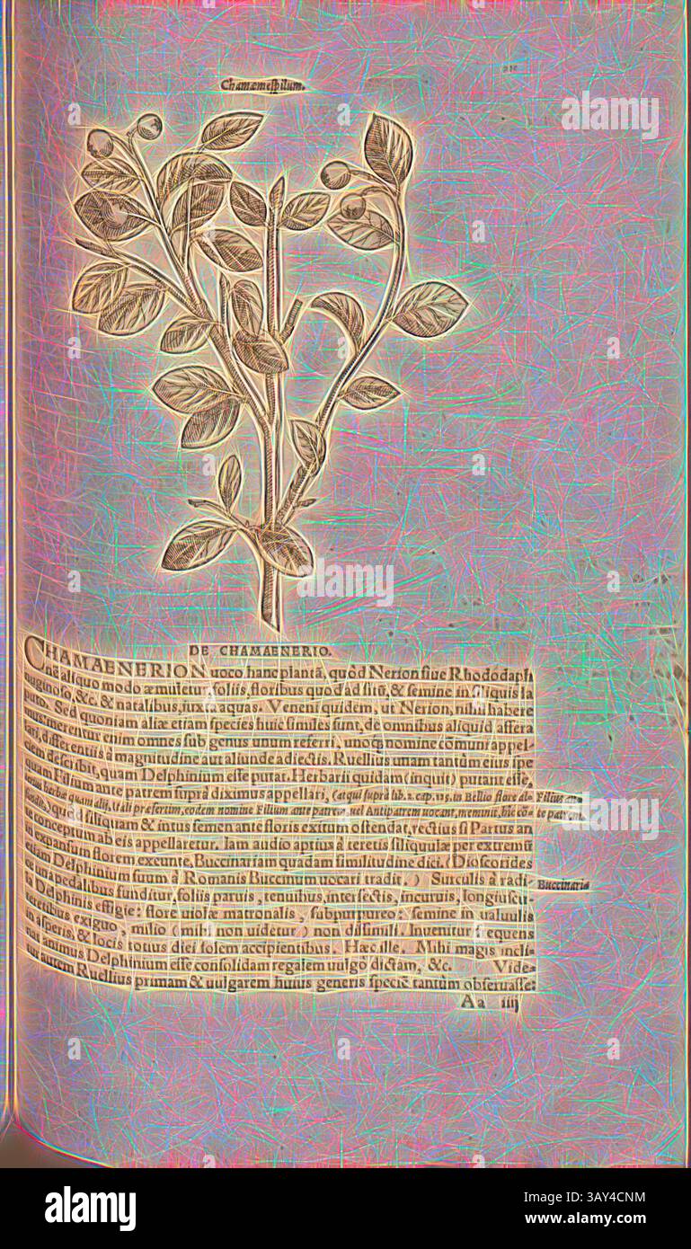 A botanical illustration featuring a plant with detailed leaves and ...