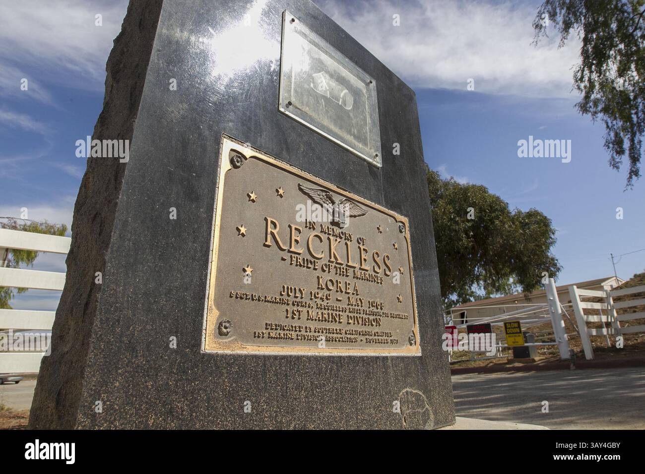 Reckless horse korean war hi-res stock photography and images - Alamy