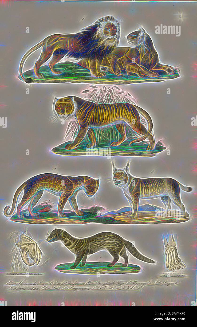 Dynamic forms of lions hi-res stock photography and images - Alamy