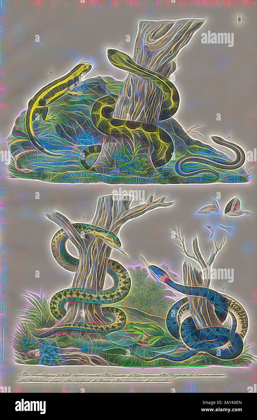 Subtle butterflies hint hi-res stock photography and images - Alamy