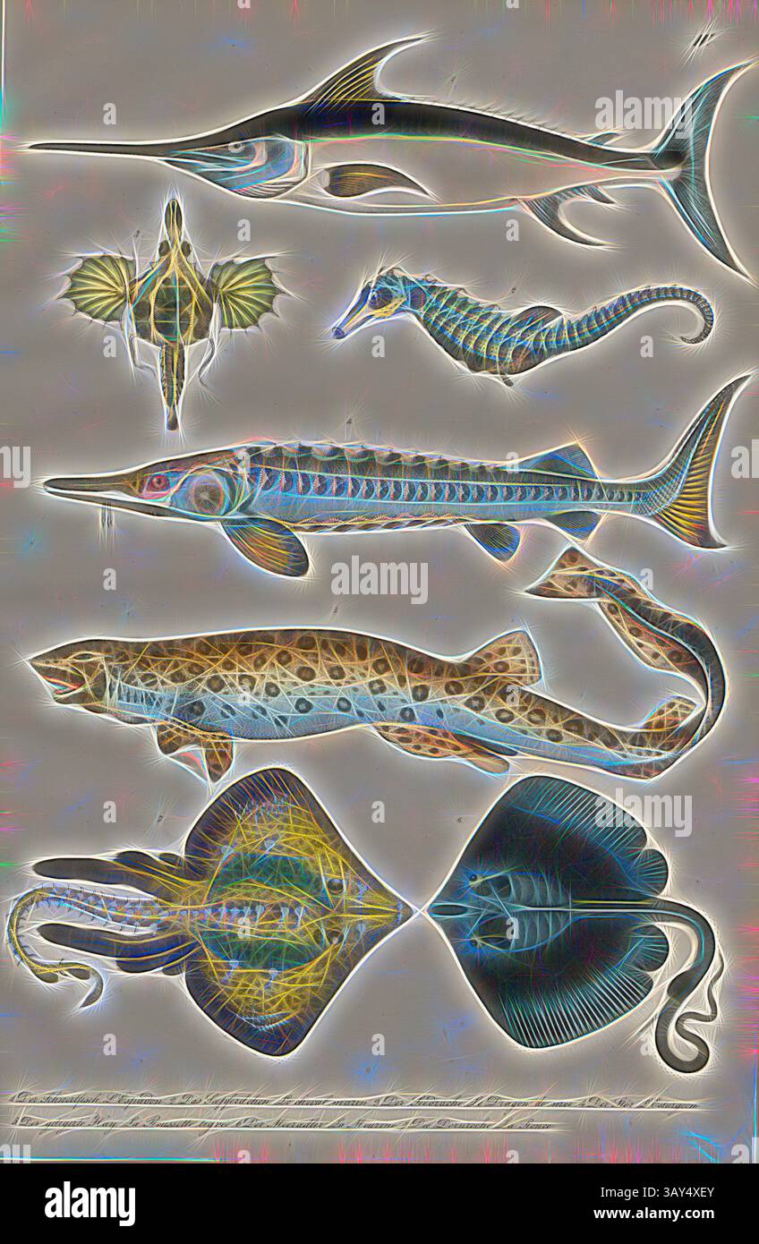 Tiger shark features hi-res stock photography and images - Alamy