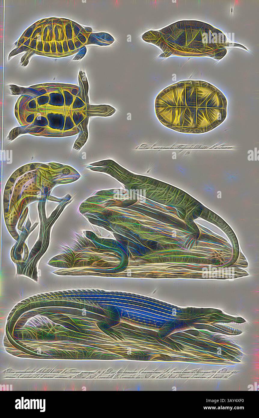 An illustration featuring various reptilian species, including turtles ...