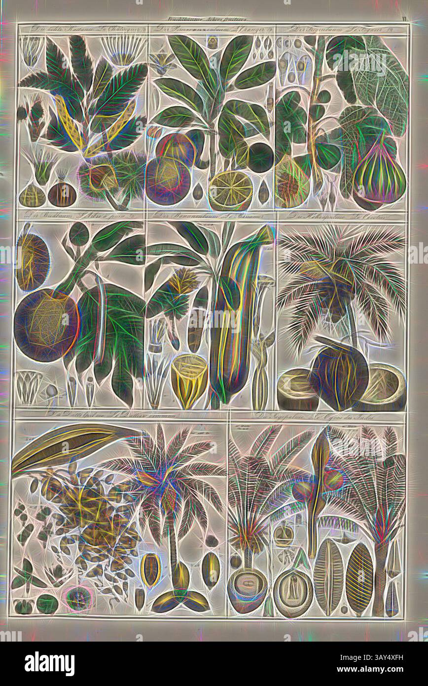 A vibrant illustration showcasing a variety of tropical fruits and ...