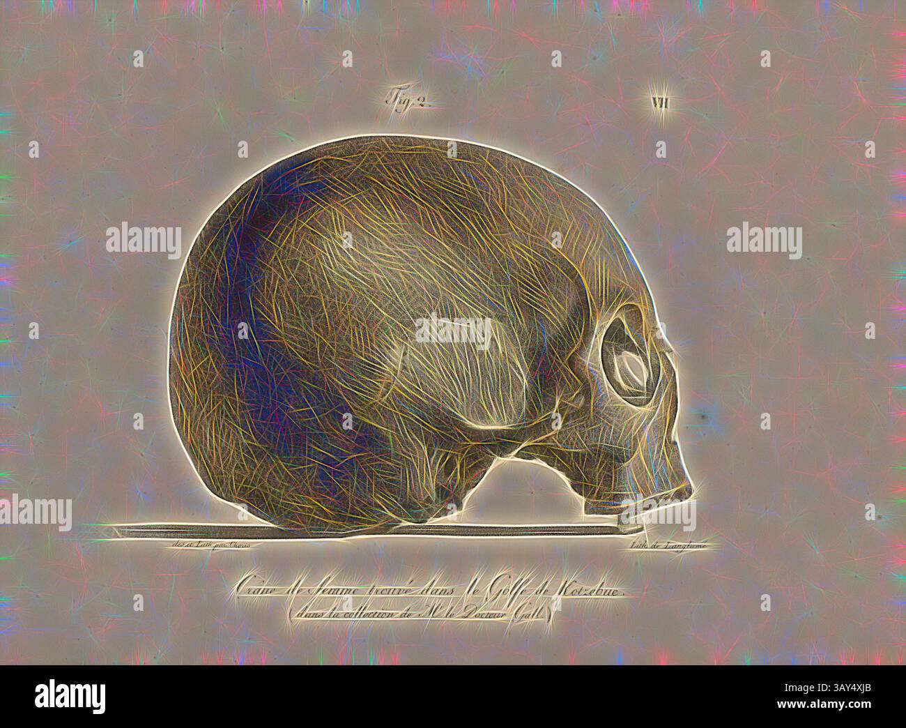 Anatomical significance hi-res stock photography and images - Alamy