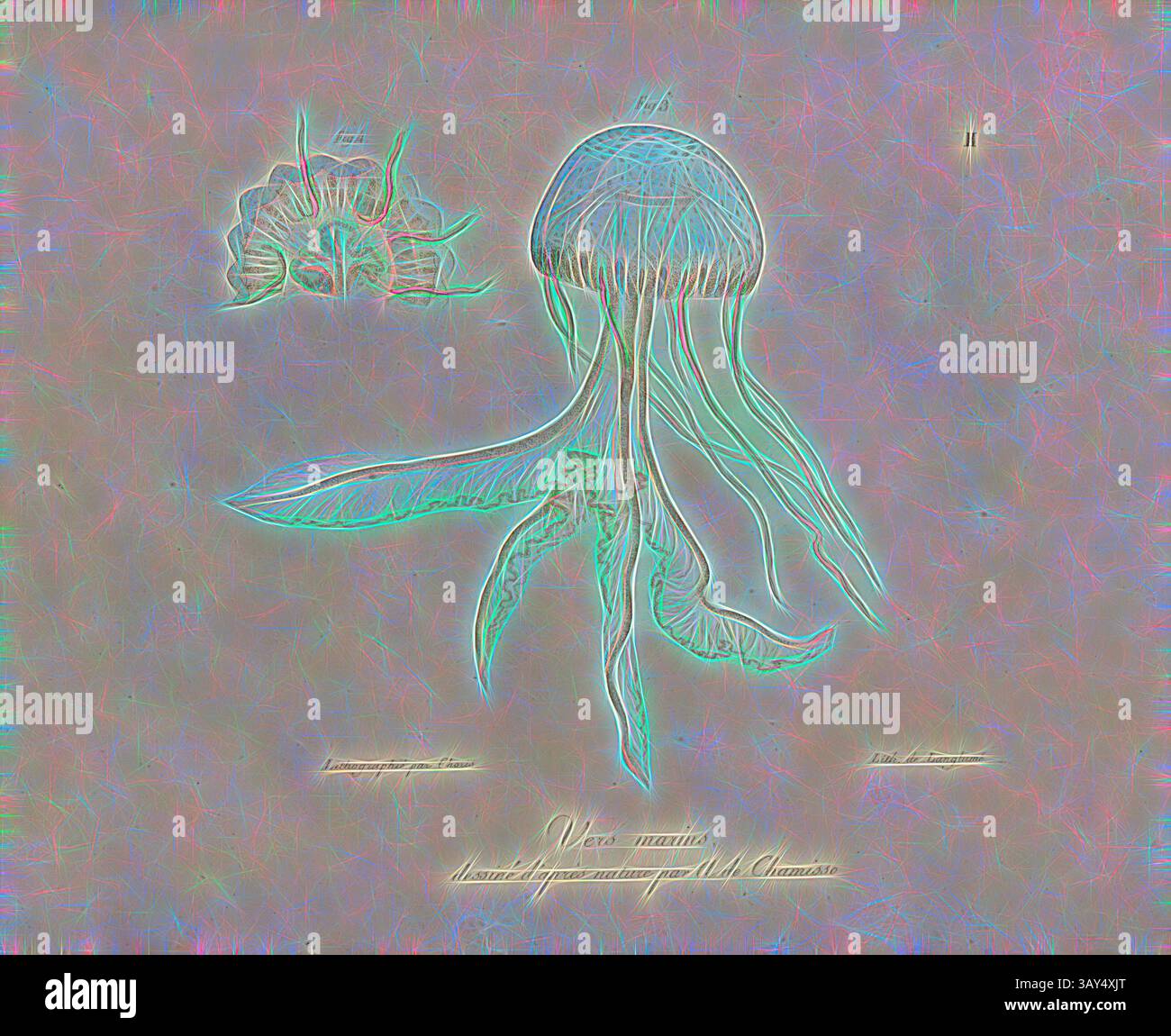 An ethereal illustration of a jellyfish, gracefully floating with long ...