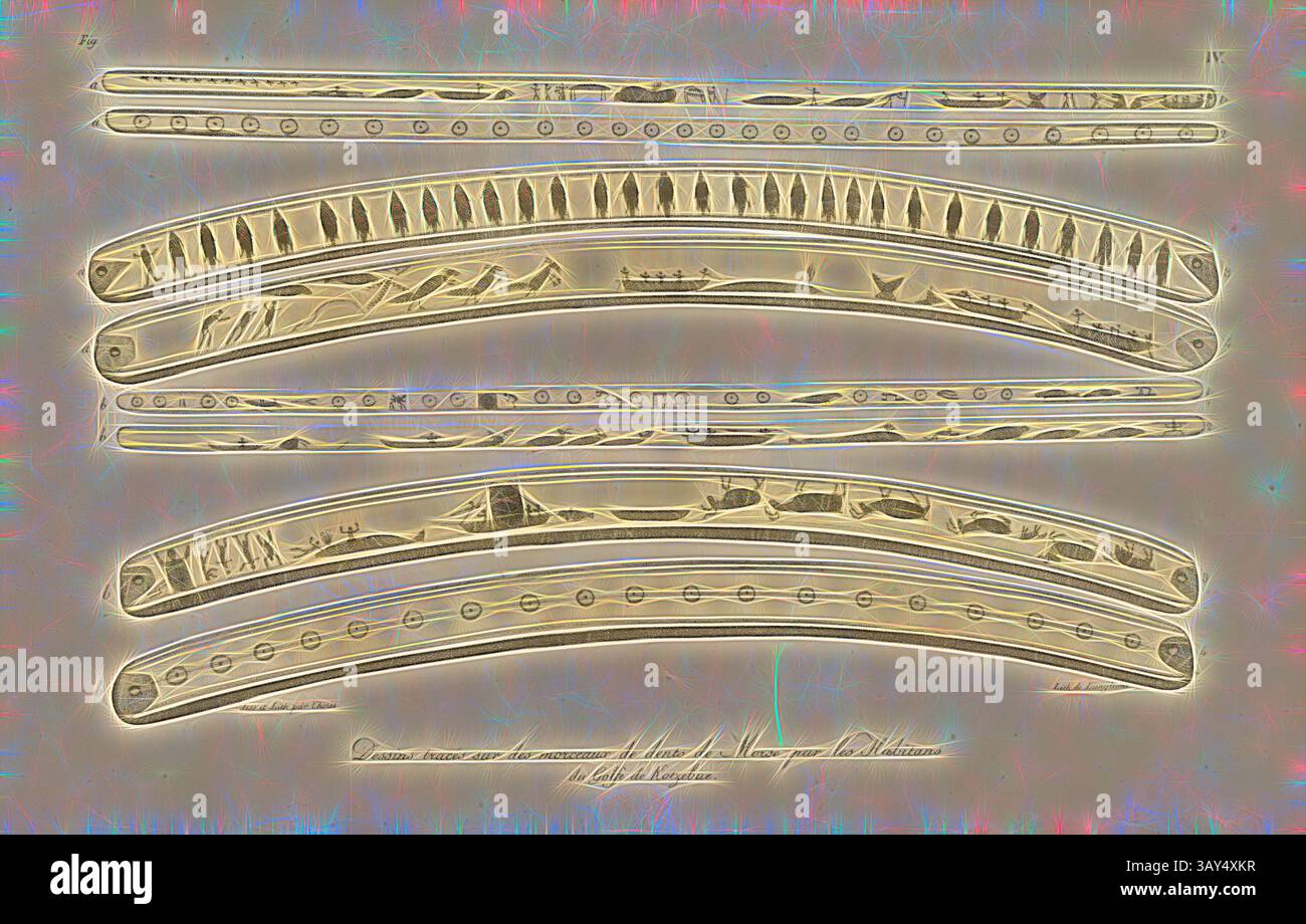 Drawings drawn on pieces of morse teeth hi-res stock photography and ...