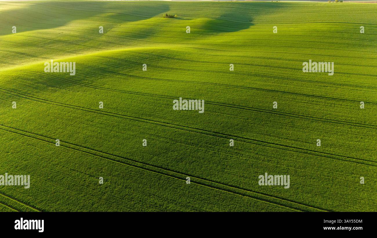 scenic view of moravia’s iconic wavy hills in spring Stock Photo - Alamy