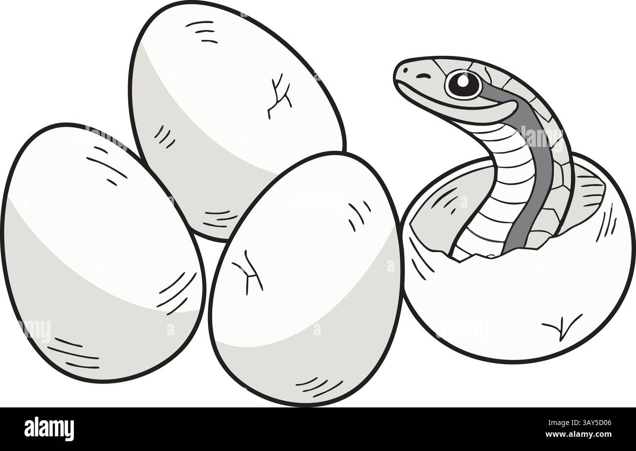 Snake egg hatch Stock Vector Images - Alamy