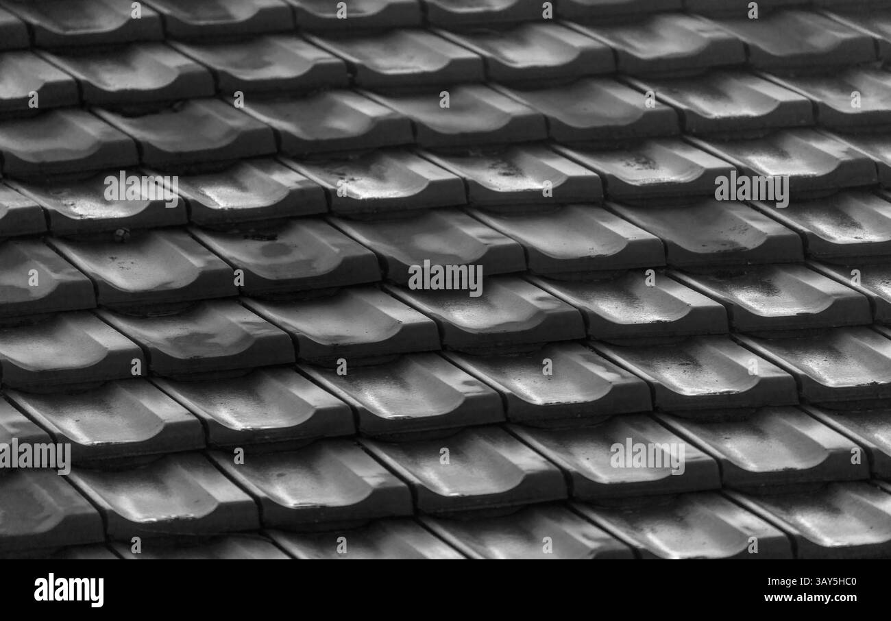 Rooftop texture Black and White Stock Photos & Images - Alamy