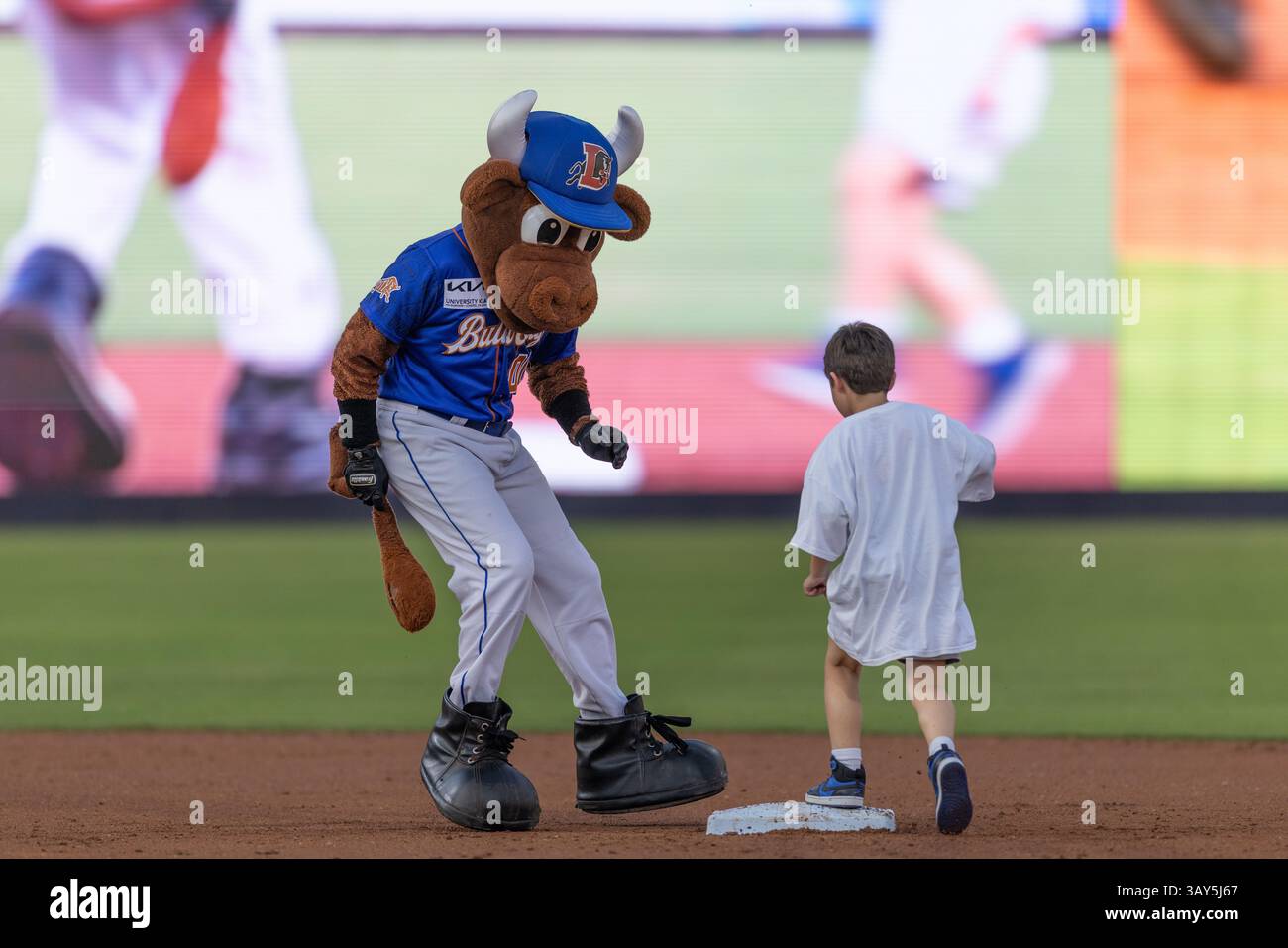 Durham, NC: Durham Bulls mascon Wool E. Bull has fun on the field with ...