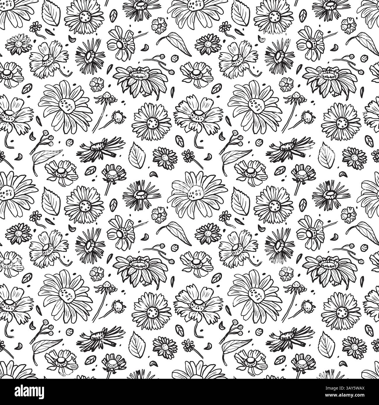 Camomile flowers seamless pattern Black and White Stock Photos & Images ...