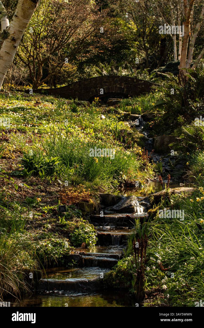 RHS Garden Rosemoor, botanical garden in North Devon, England.Alluring ...